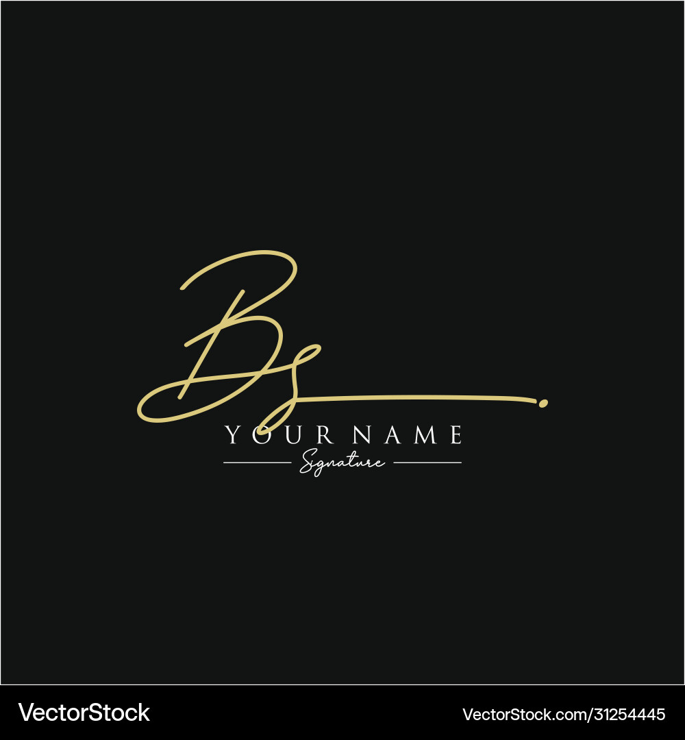 Letter bs signature logo template Royalty Free Vector Image