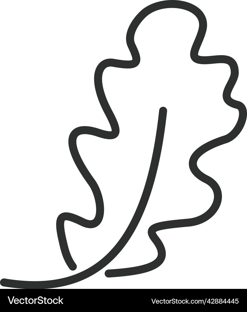 Oak leaf icon forest tree foliage symbol Vector Image