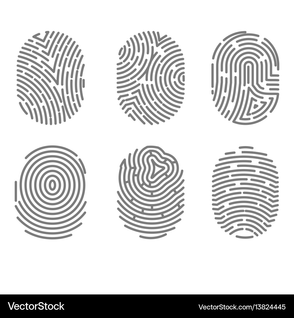 Set fingerprint types with twisted lines signs Vector Image