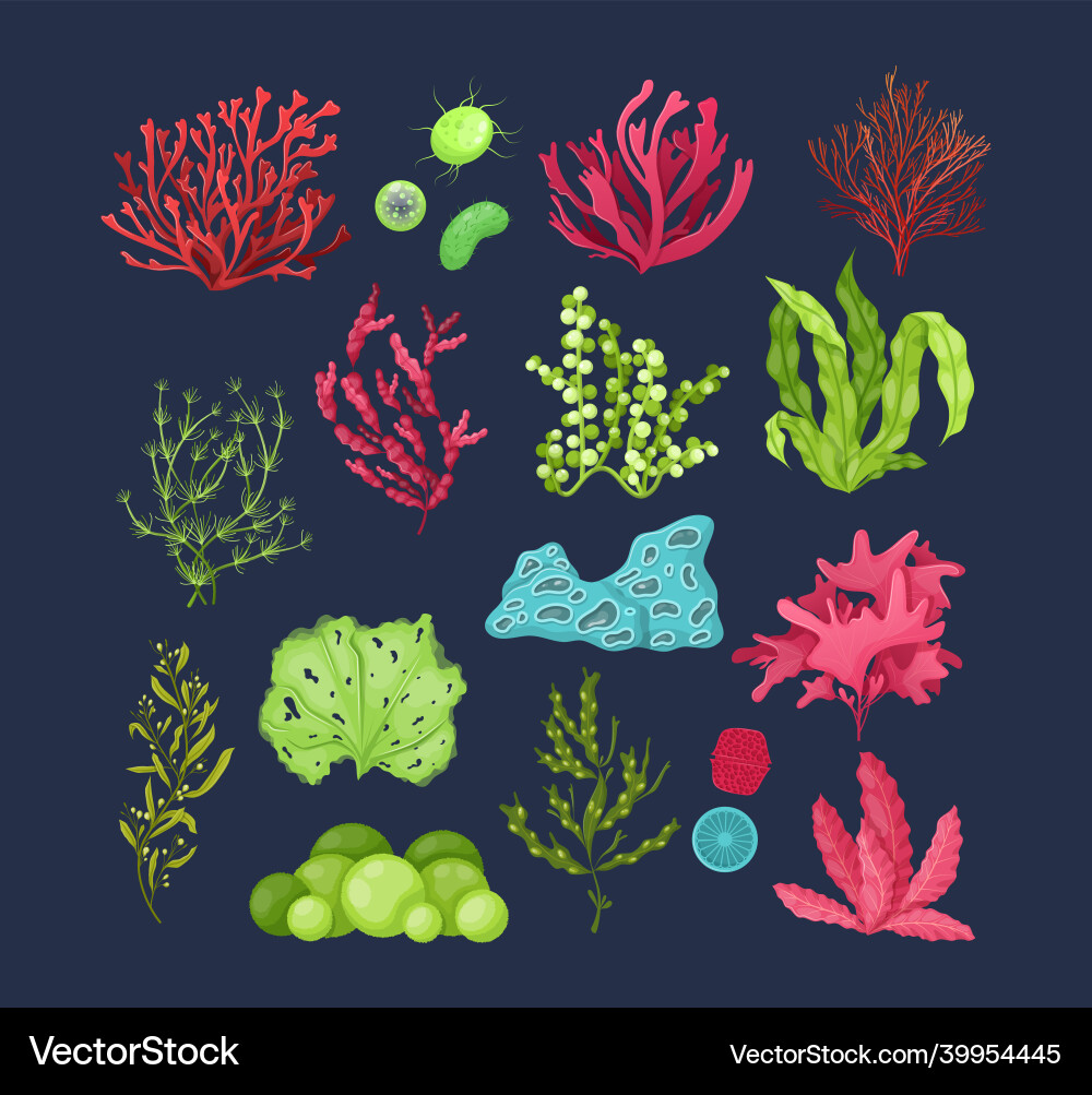Underwater marine flora set aquarium Royalty Free Vector