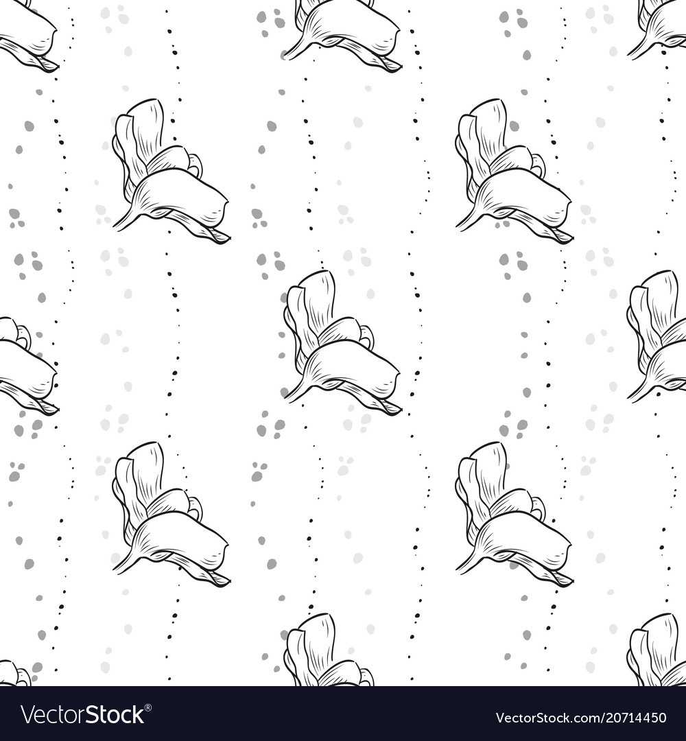 Orchid Seamless Pattern Flowers Royalty Free Vector Image