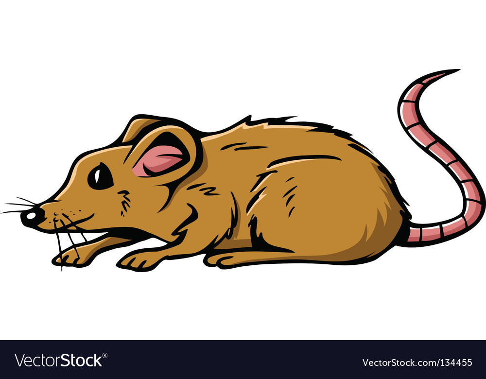 Mouse Royalty Free Vector Image - VectorStock