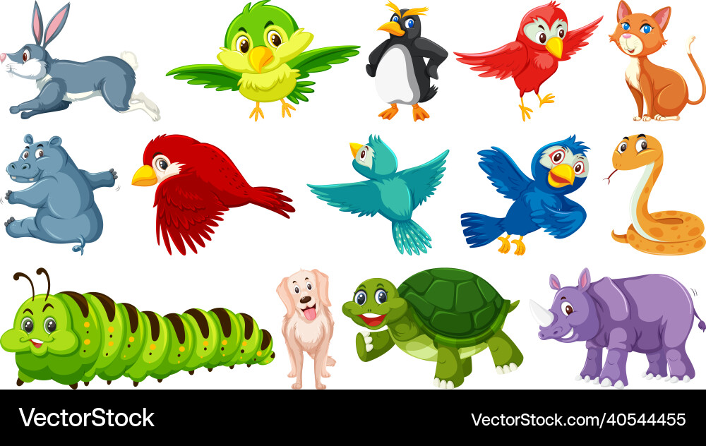 Set of isolated various animals Royalty Free Vector Image