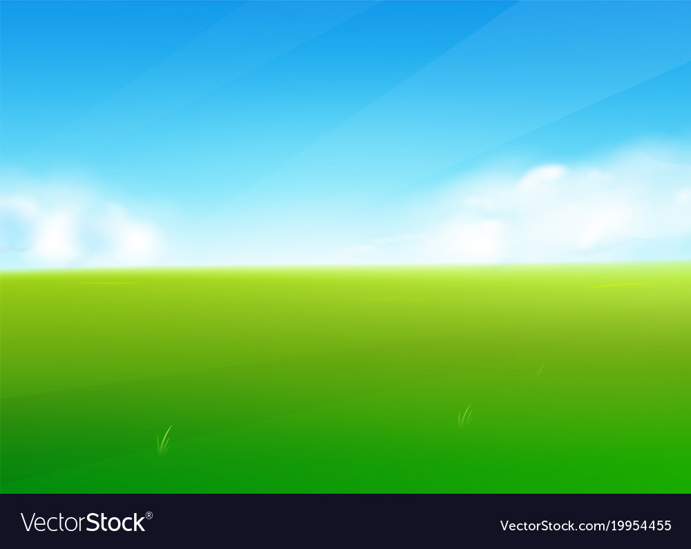 Spring field nature background with green grass Vector Image