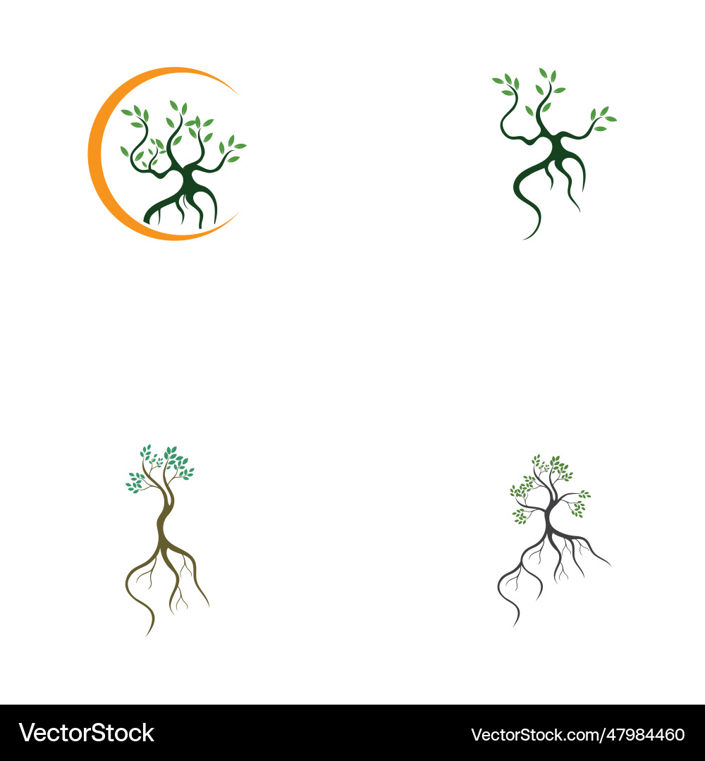 Mangrove trees and forest ecology logo Royalty Free Vector