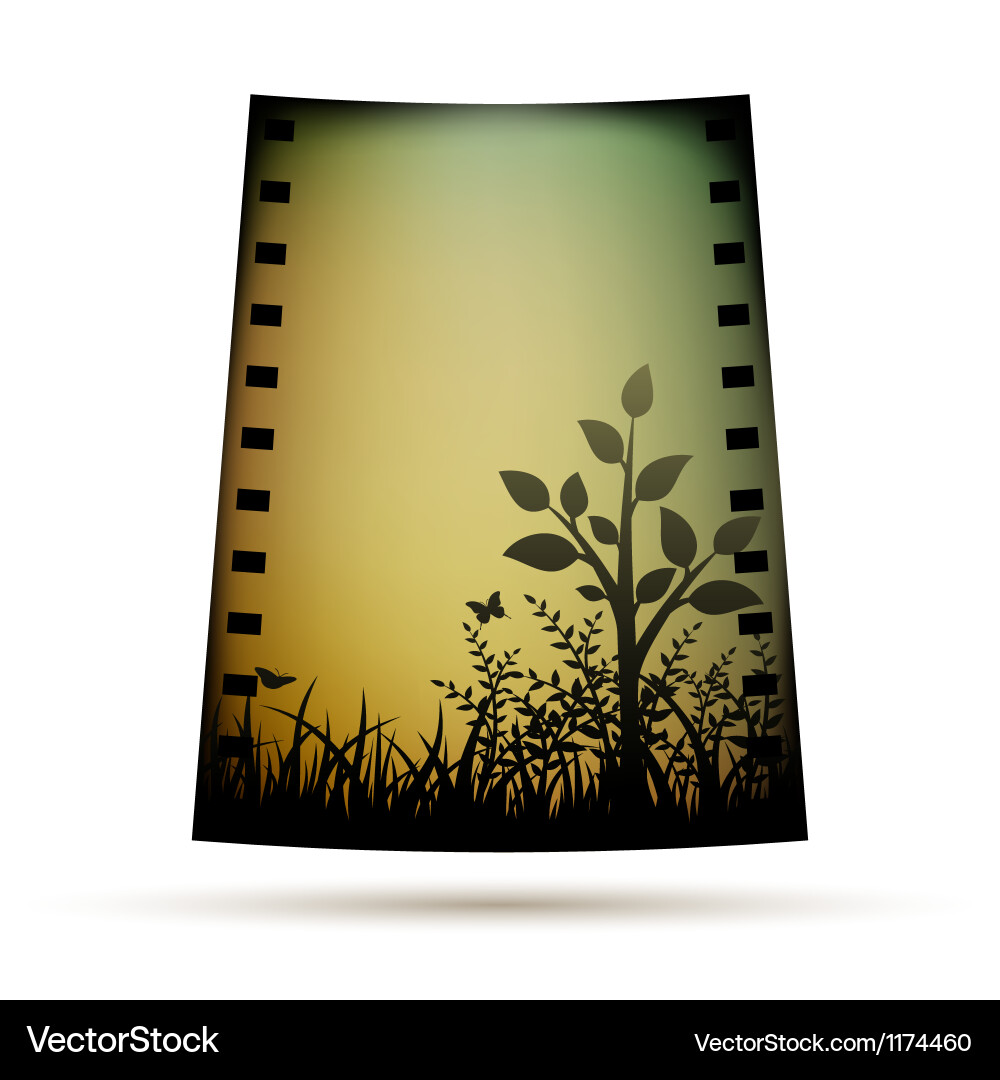 Negative film with landscape Royalty Free Vector Image