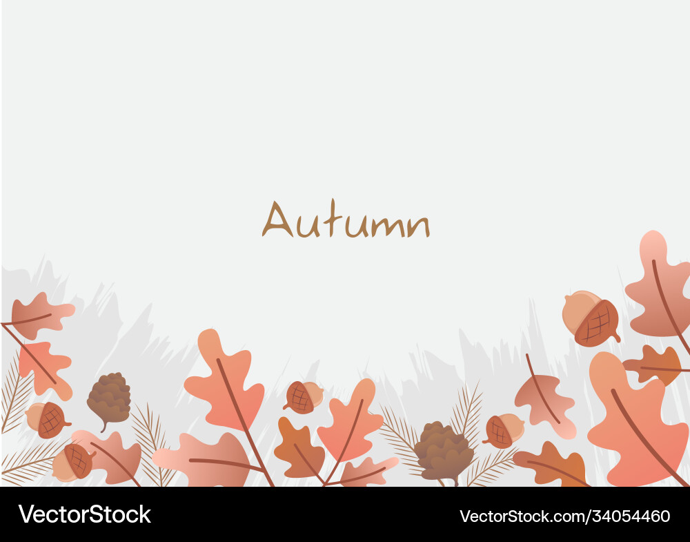 Oak leaf acorn pine leaves and seed frame Vector Image