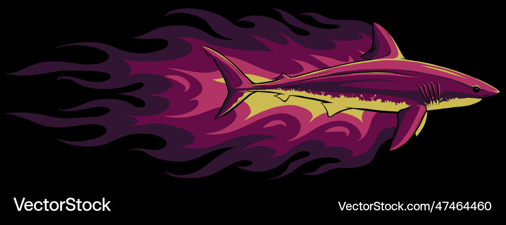 Shark abstract flame furious marine predator Vector Image