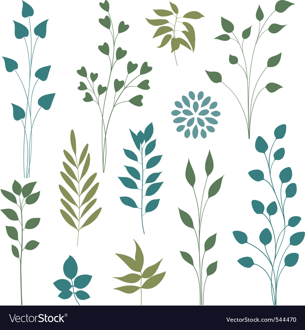 Leaf elements Royalty Free Vector Image - VectorStock