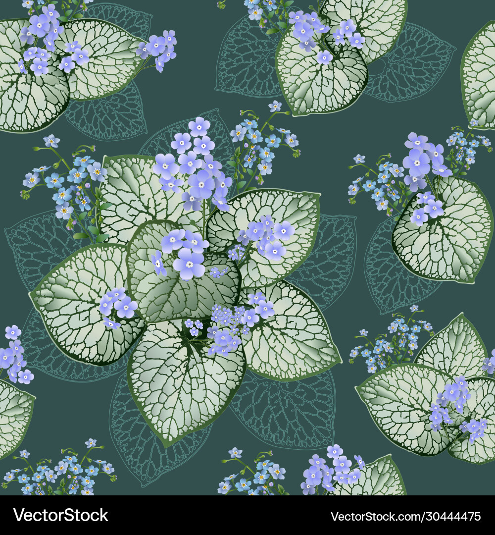 Brunnera leaves and charming forget-me-nots Vector Image