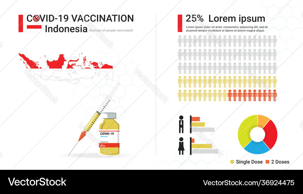 Covid19-19 vaccination infographic Royalty Free Vector Image