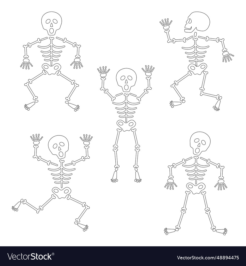 Halloween black outline skeleton silhouettes Vector Image