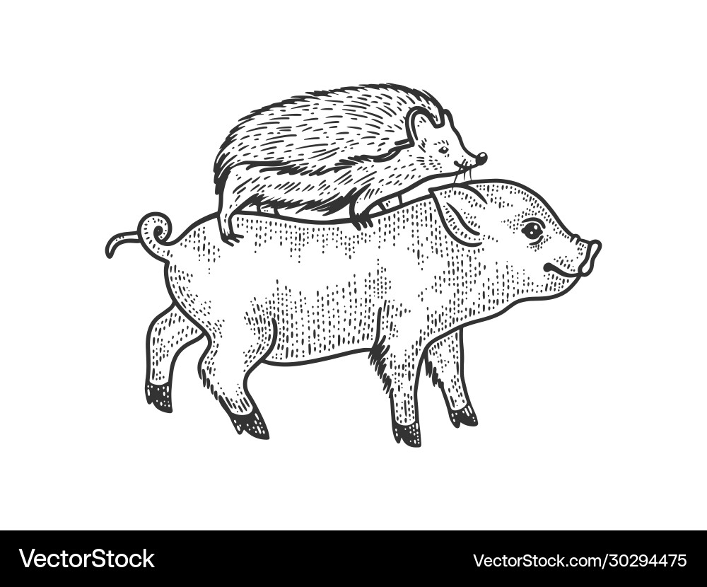 Hedgehog riding a pig sketch Royalty Free Vector Image