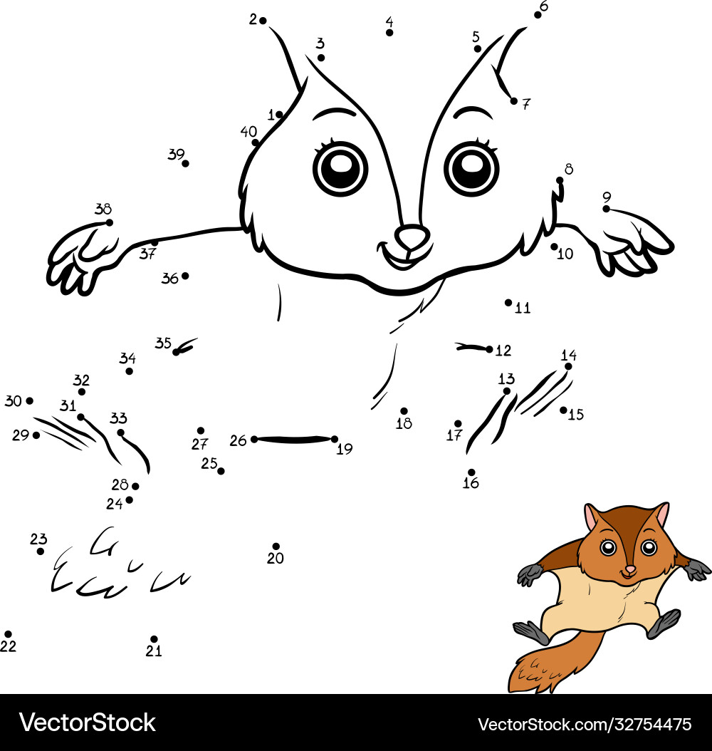 Numbers game flying squirrel Royalty Free Vector Image