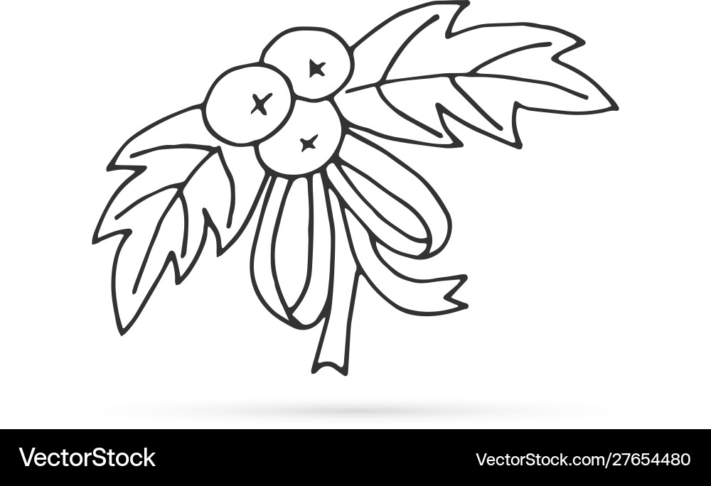 Doodle branch with bow icon kids hand drawing Vector Image