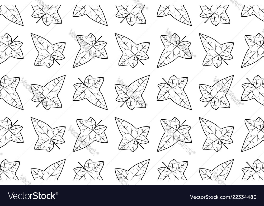 Ivy leaf pattern Royalty Free Vector Image - VectorStock