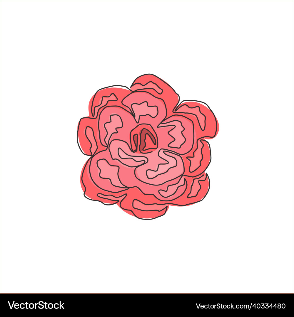 Single one line drawing beauty fresh carnation Vector Image