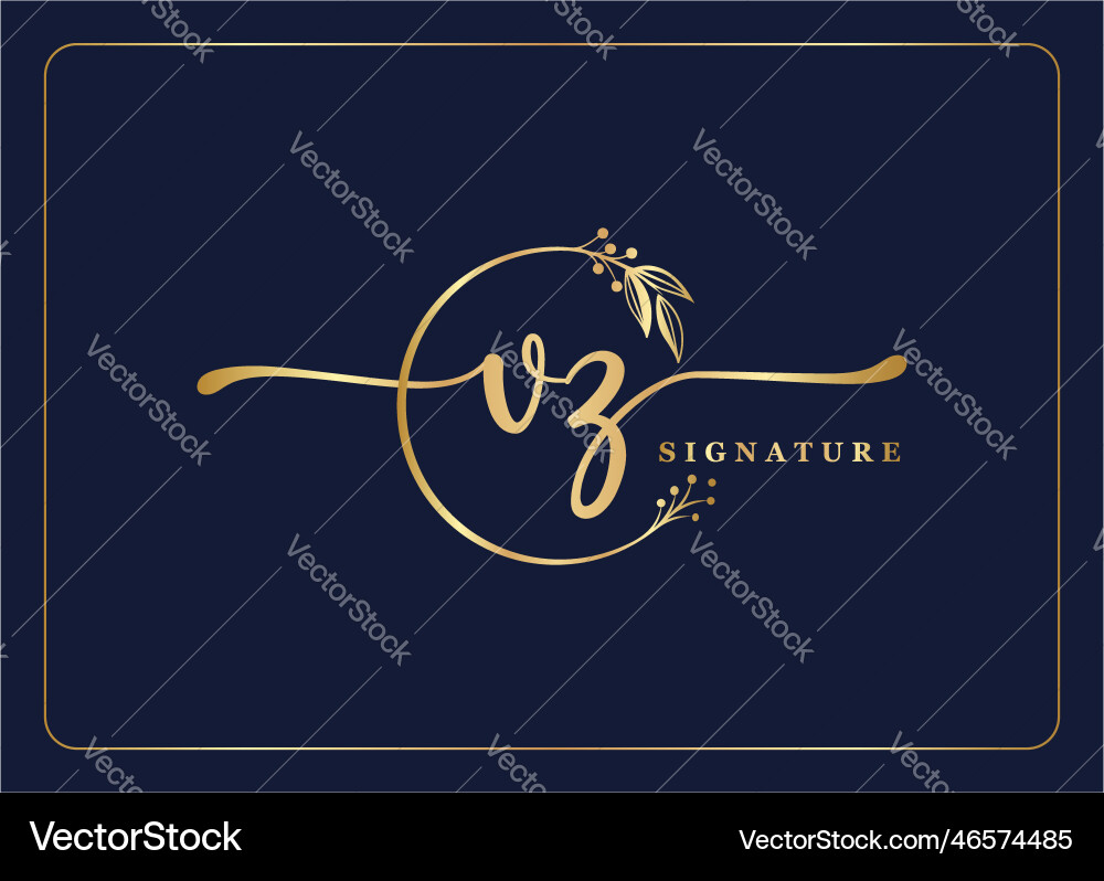 Luxury gold signature initial vz logo design Vector Image