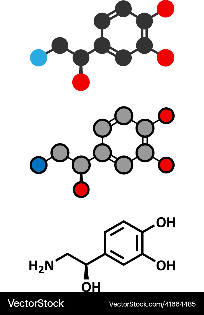 Norepinephrine noradrenaline norepi hormone Vector Image