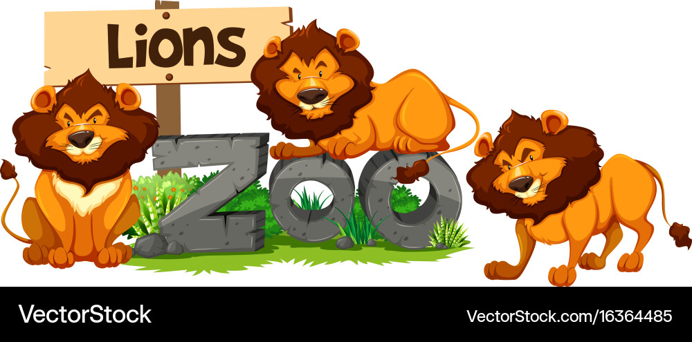Three lions in the zoo Royalty Free Vector Image