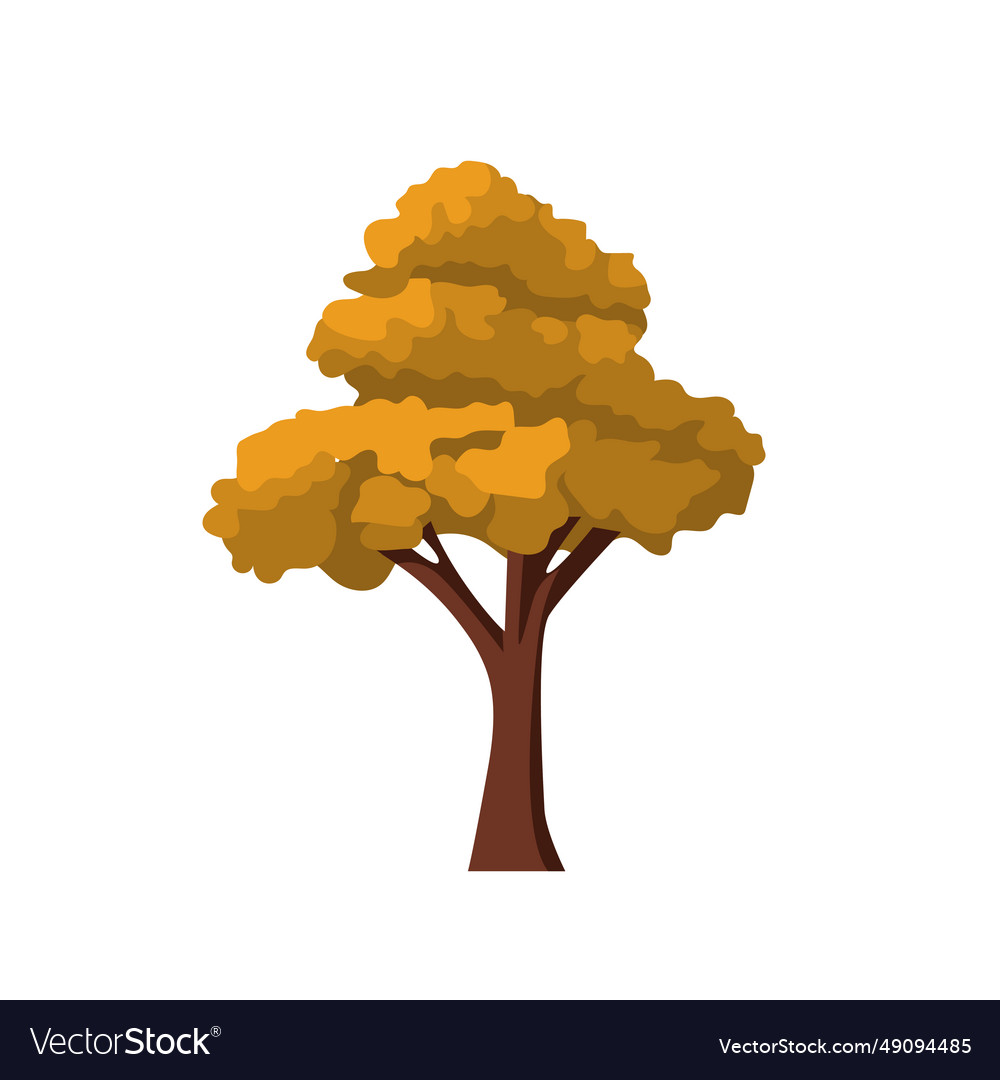 Yellow autumn tree Royalty Free Vector Image - VectorStock