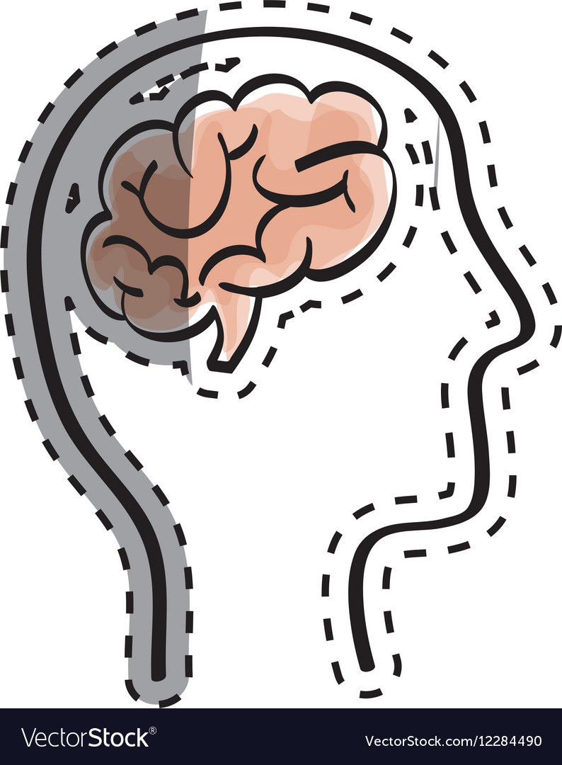Human brain scribble Royalty Free Vector Image