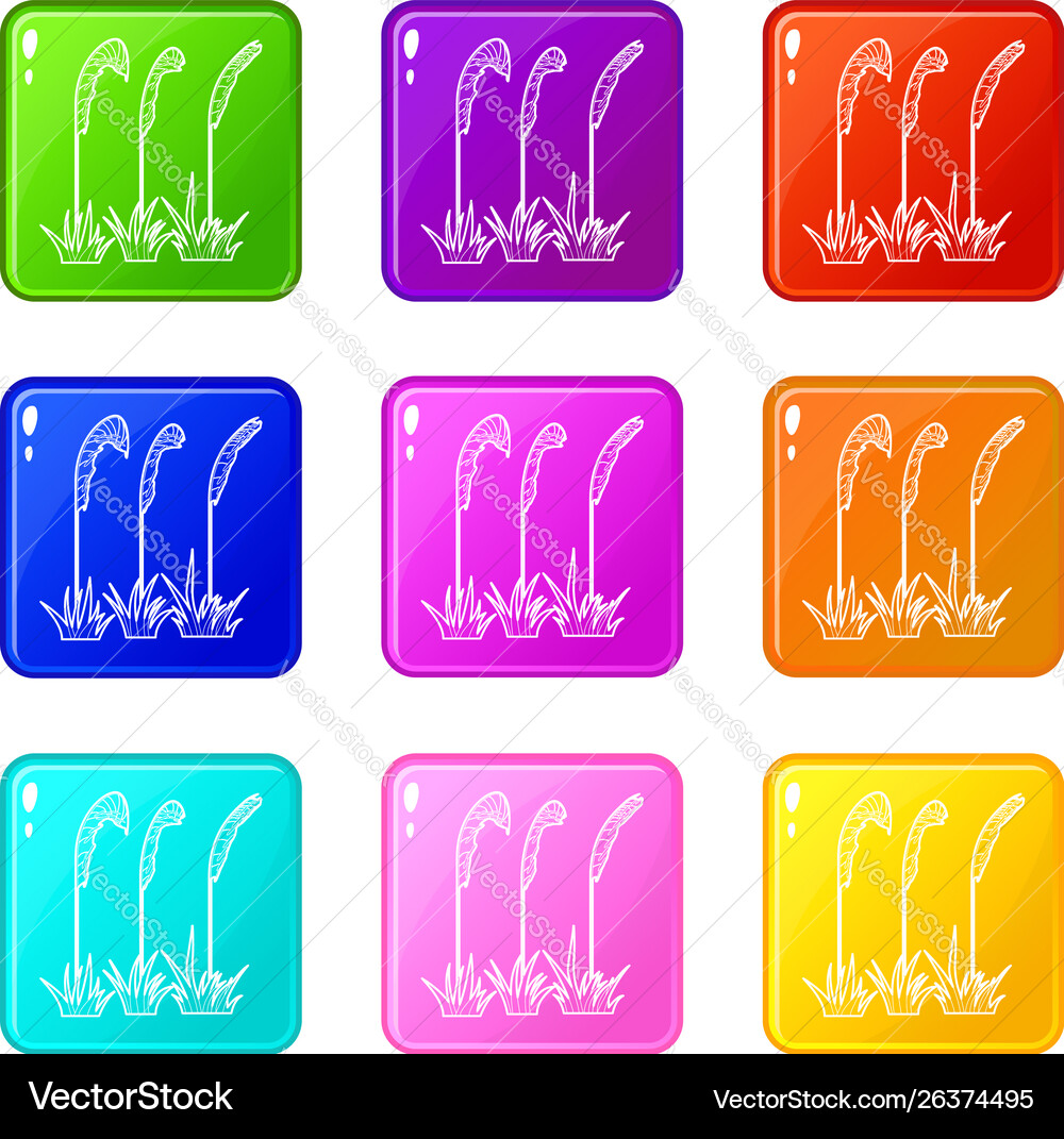 Three plants icons set 9 color collection Vector Image