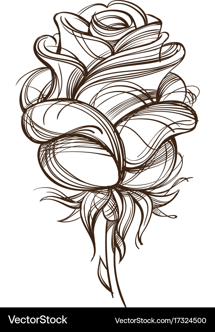 Hand drawn rose floral design element outline Vector Image