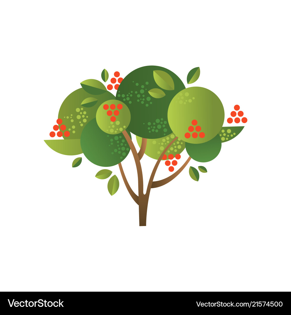 Rowan garden tree with ripe berries Royalty Free Vector