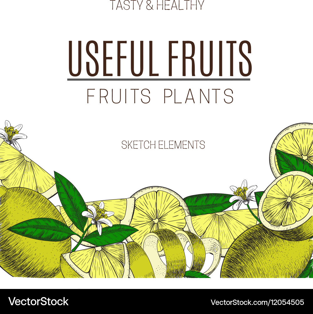 Design lemon with ink hand drawn whole Royalty Free Vector