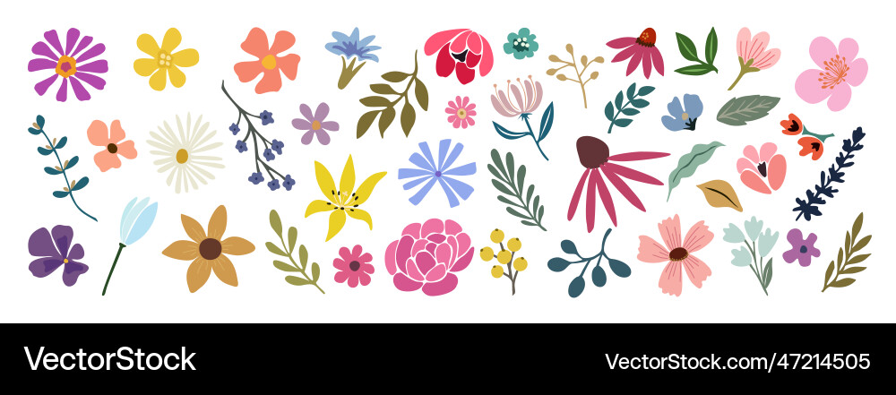 Set of hand drawn floral design elements Vector Image