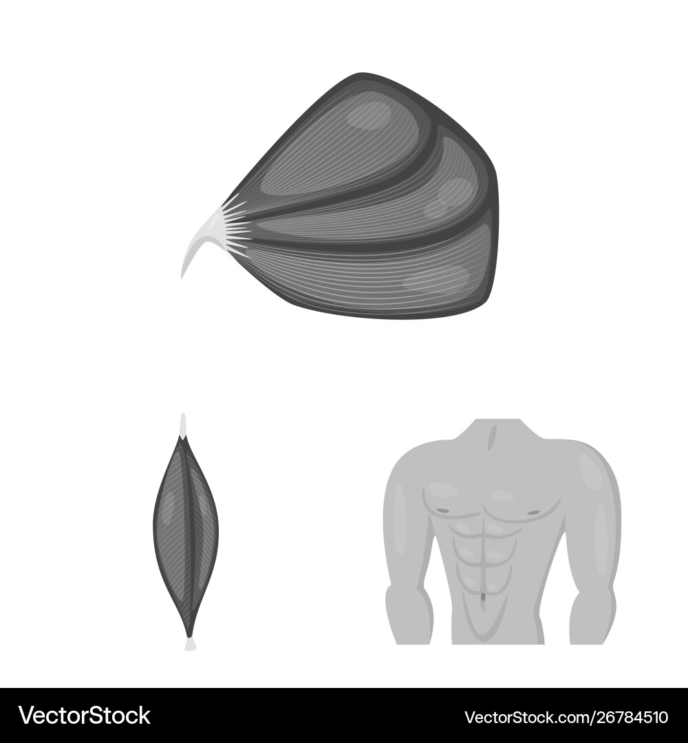 Design human and body logo collection Royalty Free Vector