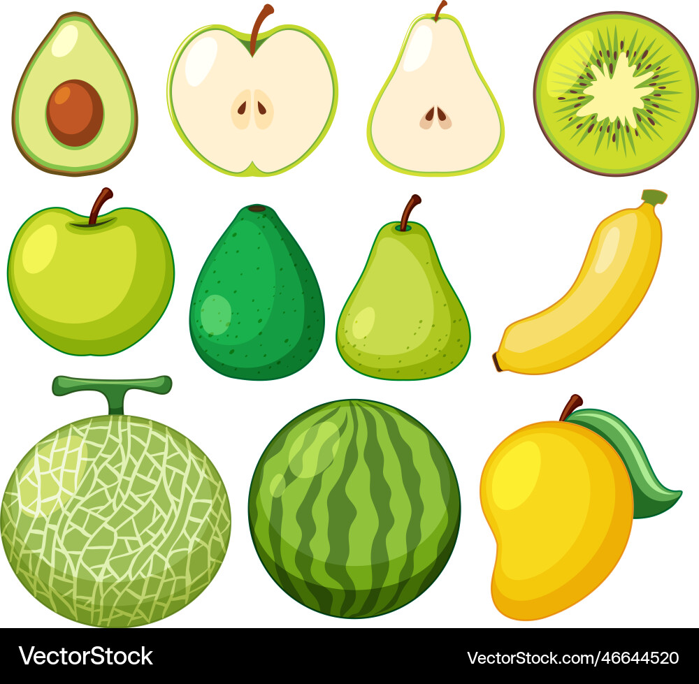 A collection of different fruits Royalty Free Vector Image