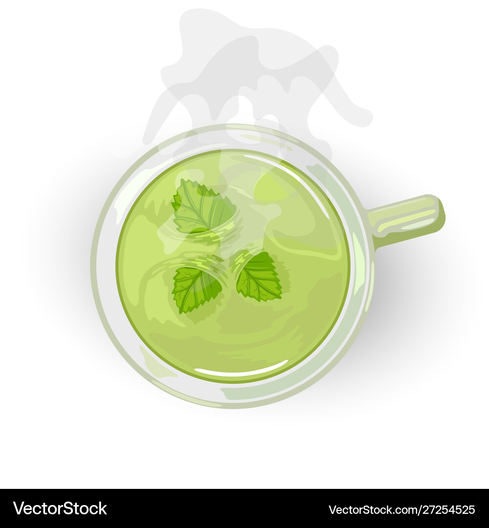 Herbal curative healthy tea with mint in ceramic Vector Image