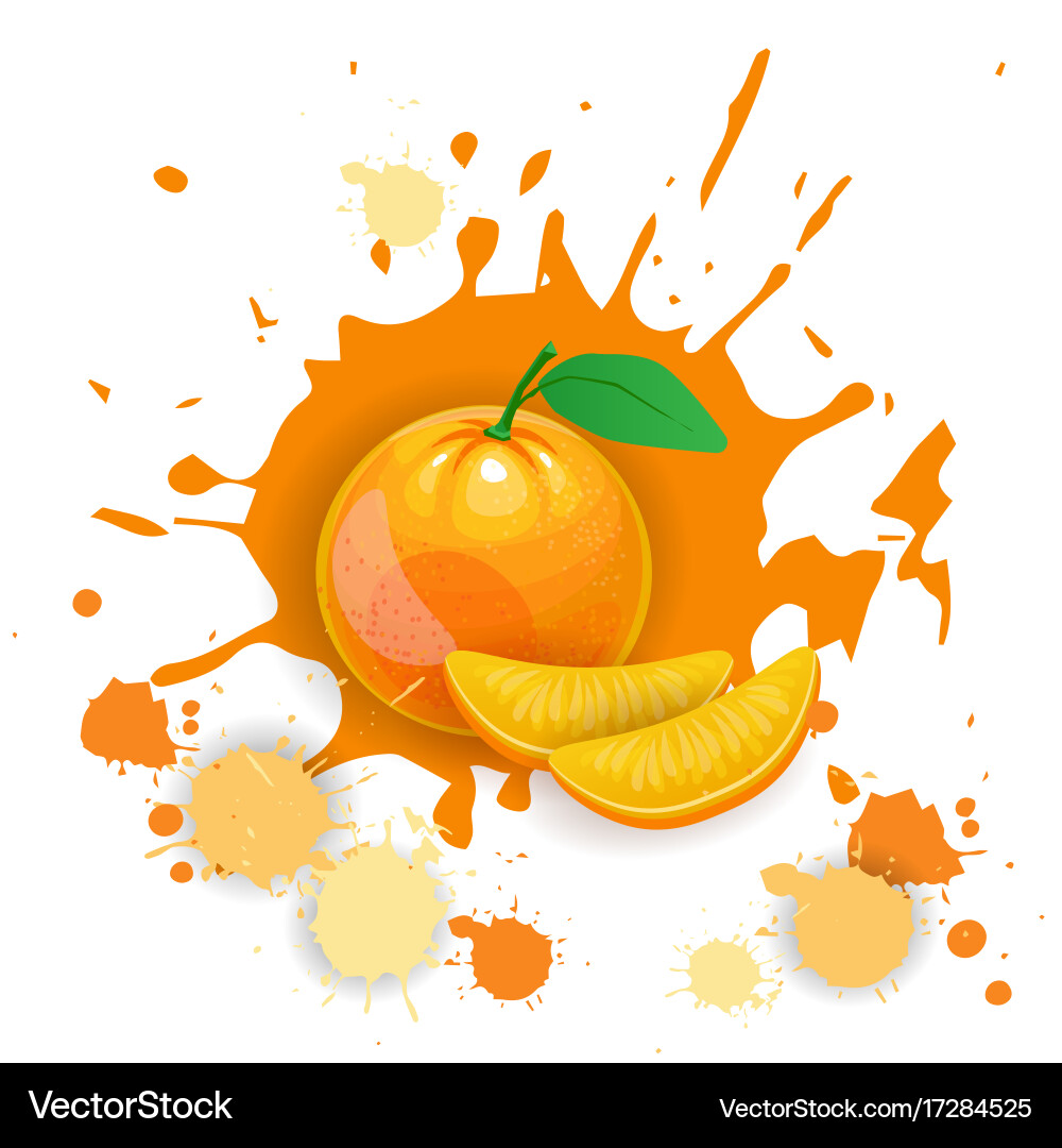Orange fruit logo watercolor splash design fresh Vector Image