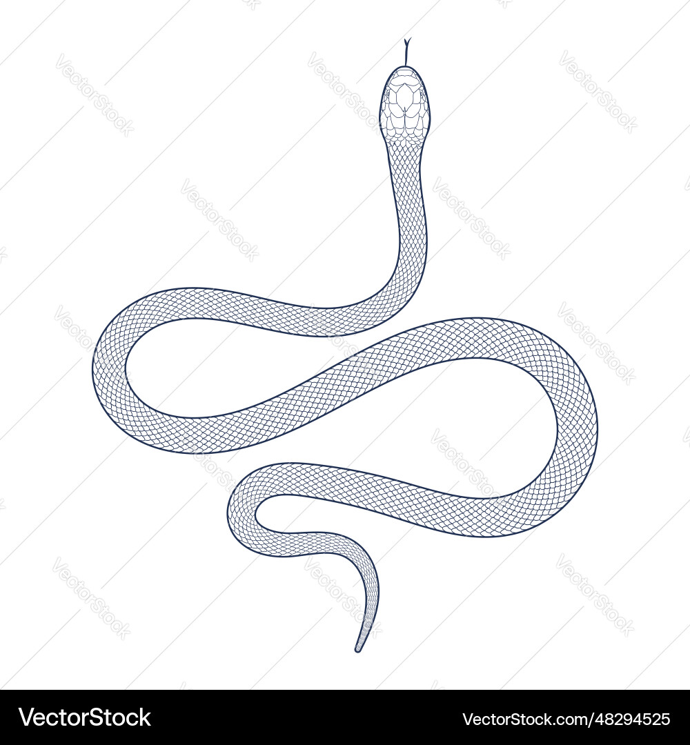 Vintage retro isolated black serpent snake Vector Image