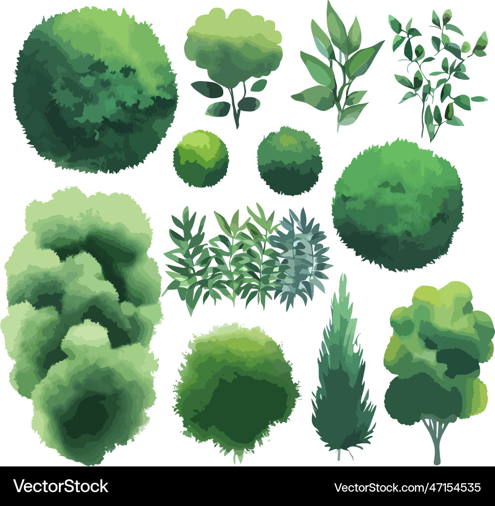 Amazing trees bushes shrubs top view Royalty Free Vector