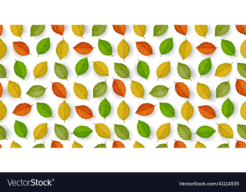 Autumn yelloworangegreen leaves Royalty Free Vector Image