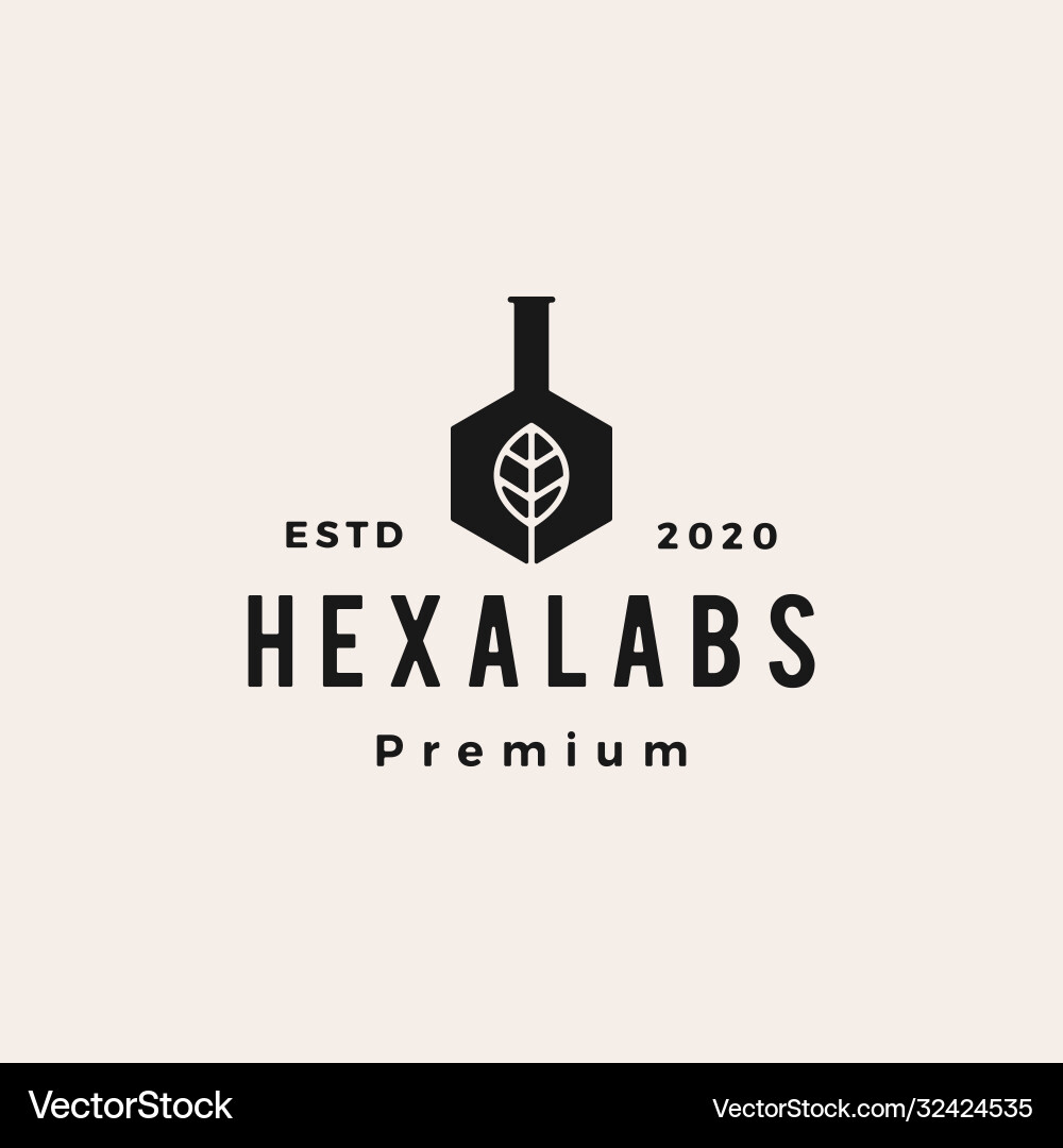 Hexagon leaf lab labs hipster vintage logo icon Vector Image