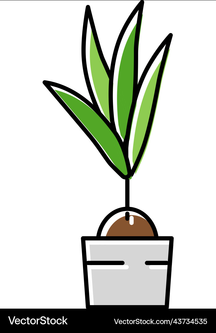 Plant coconut coco color icon Royalty Free Vector Image