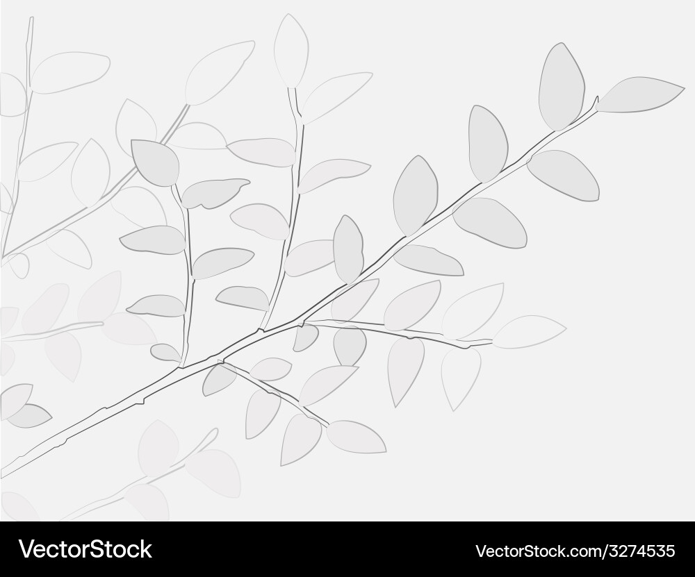 Trees background Royalty Free Vector Image - VectorStock
