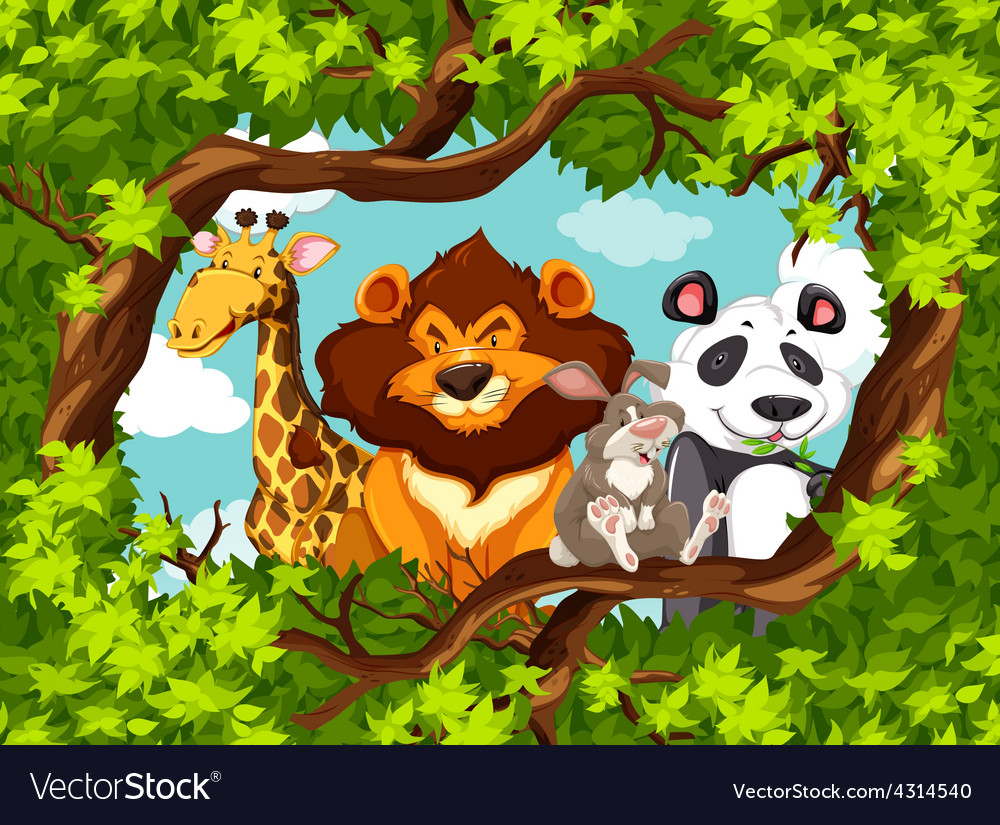 Animals Royalty Free Vector Image - VectorStock