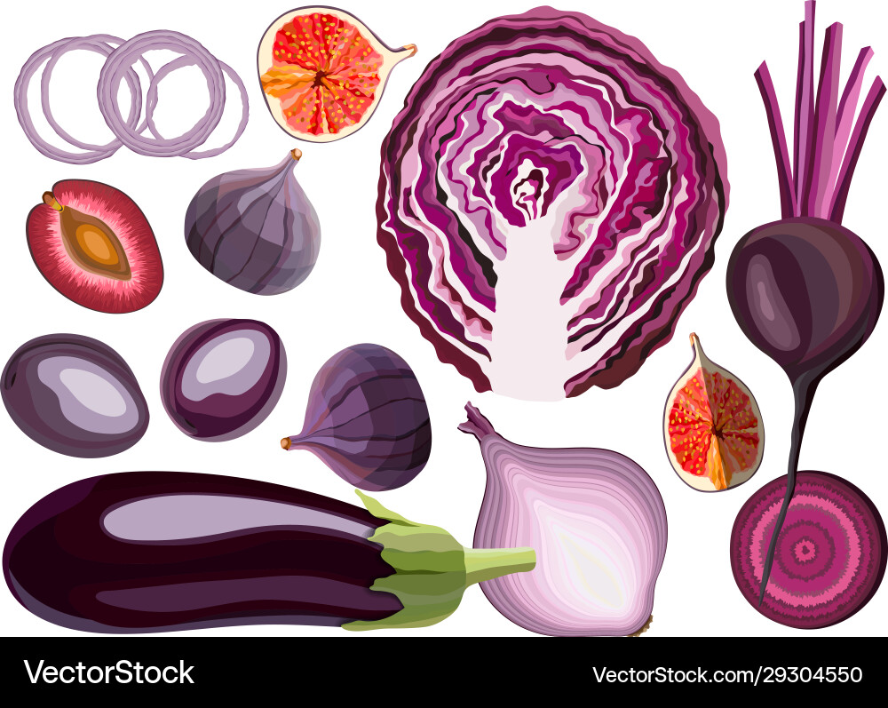 Collection fresh violet color vegetables Vector Image