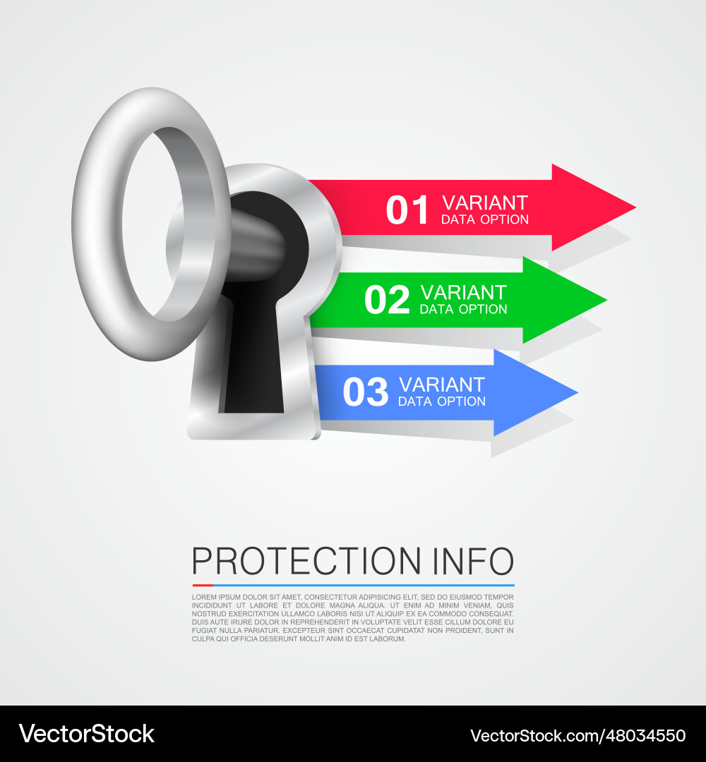 Protection info art key banner Royalty Free Vector Image