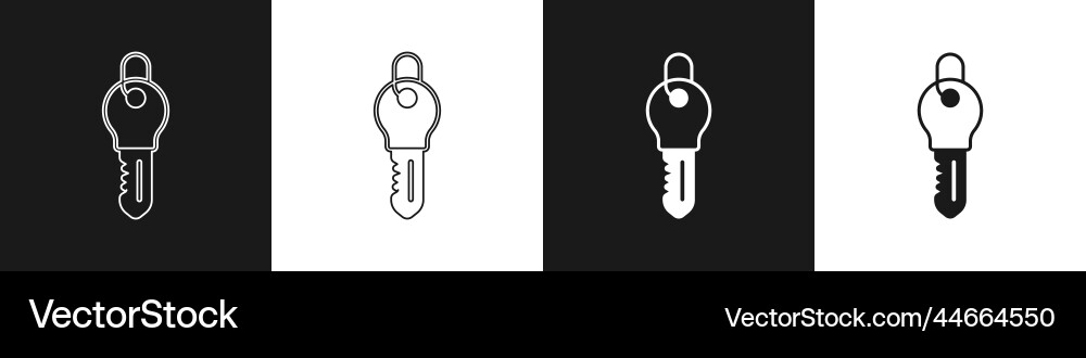 Set key icon isolated on black and white Vector Image