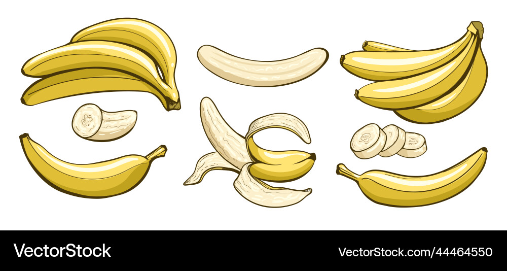 Yellow banana drawings Royalty Free Vector Image
