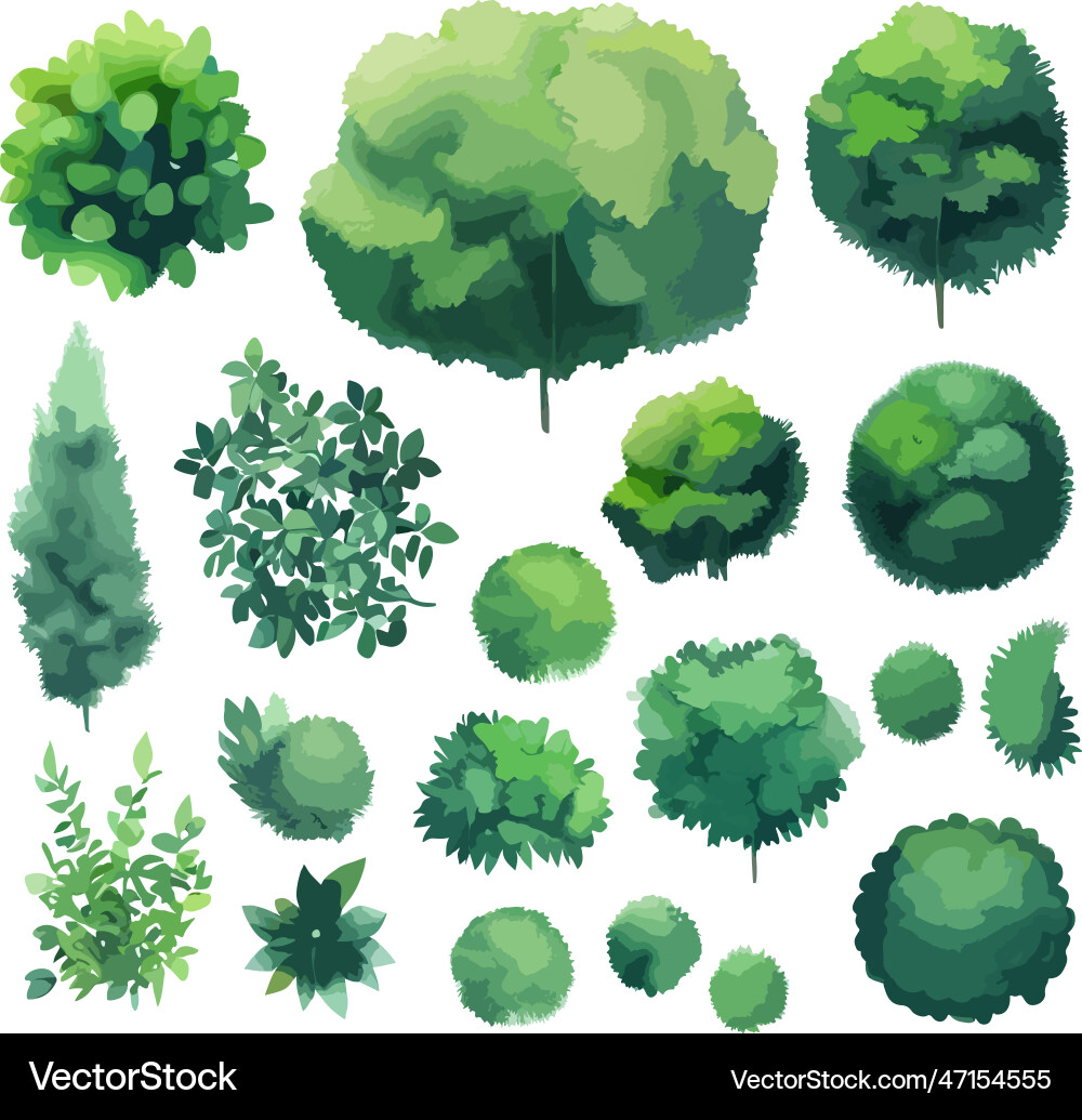 Wonderful trees bushes shrubs top view Royalty Free Vector