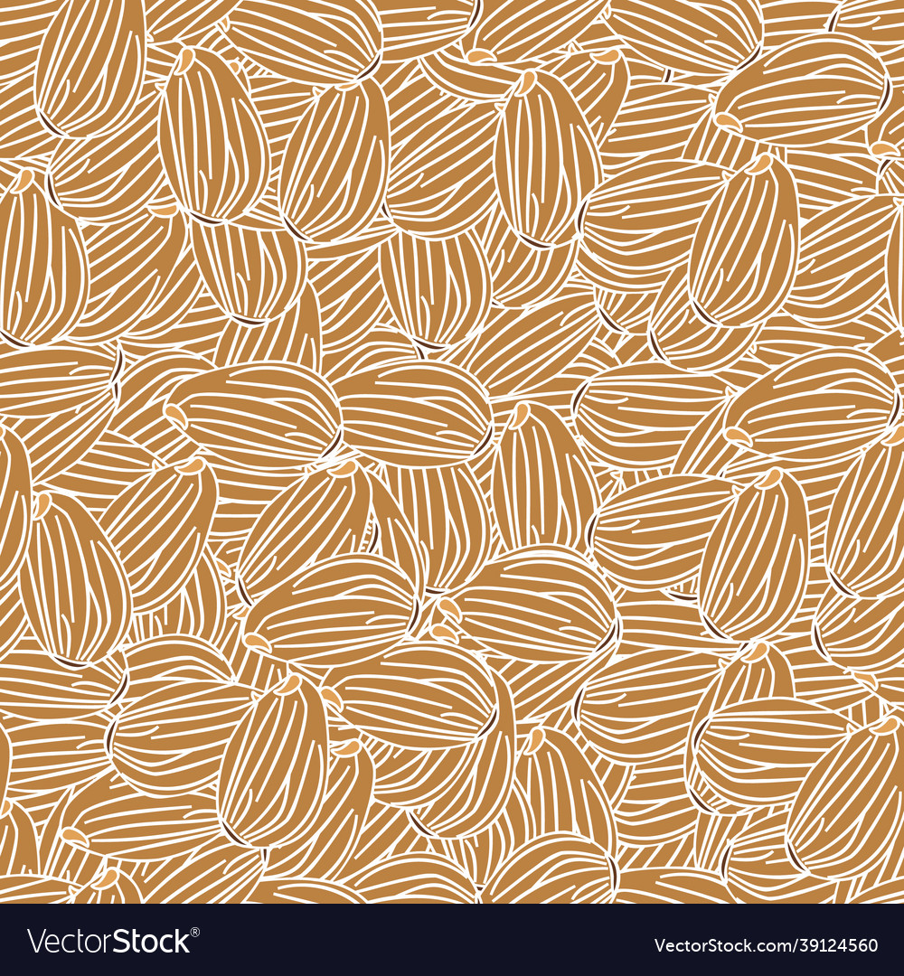 Almond Royalty Free Vector Image Vectorstock