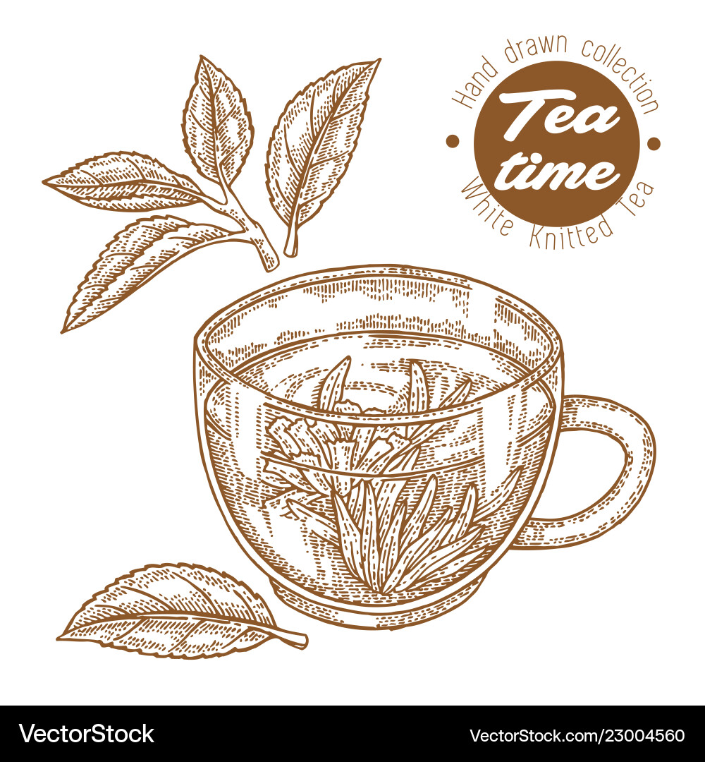 Hand drawn cup tea white knitted tea isolated Vector Image