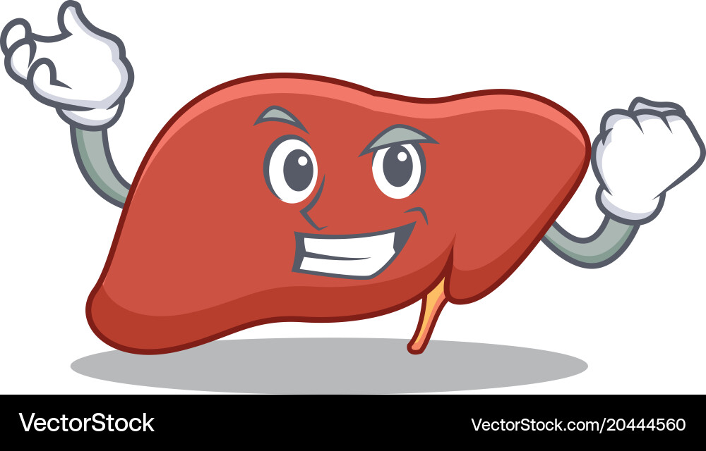 Successful liver character cartoon style Vector Image